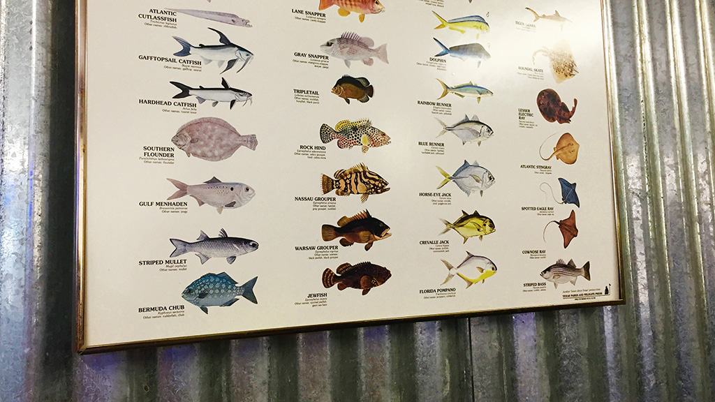 IMG_4929-FishChart-WEB – New American Nomads